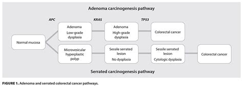 Updated Guidelines On Colonoscopy Surveillance British Columbia Medical Journal