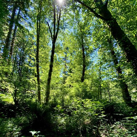 Attractions And Places To See In Ll Stub Stewart State Park Top 6
