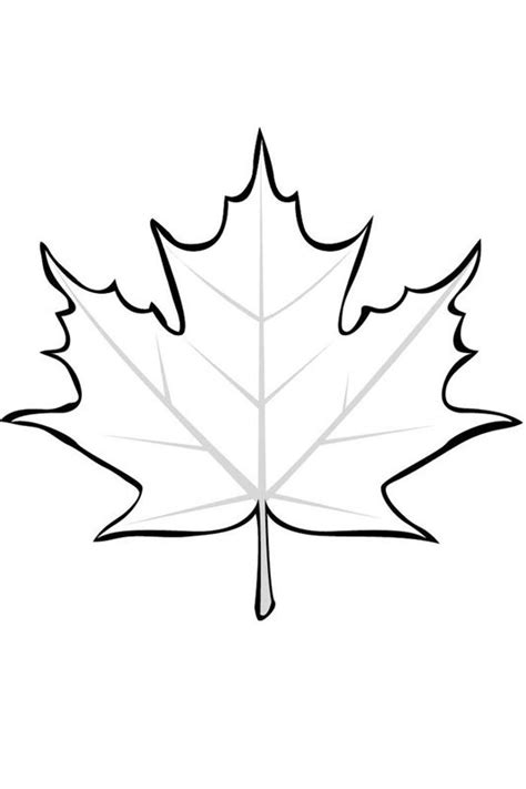 Frunze De Colorat Frunze De Desenat Fise Si De Colorat Cu Frunze Imagini Descarca Gratuit