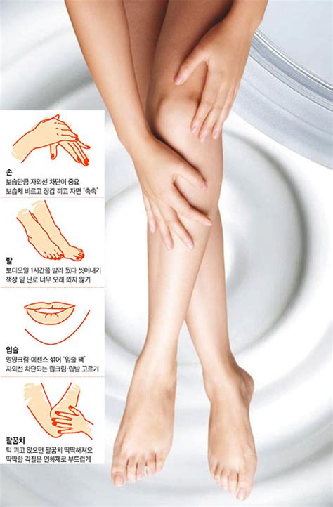 건조한 손 자외선 차단 꼼꼼하게 메마른 입술 입술 팩으로 촉촉하게 시니어조선 삶의 정상에 서다 건강 건강정보