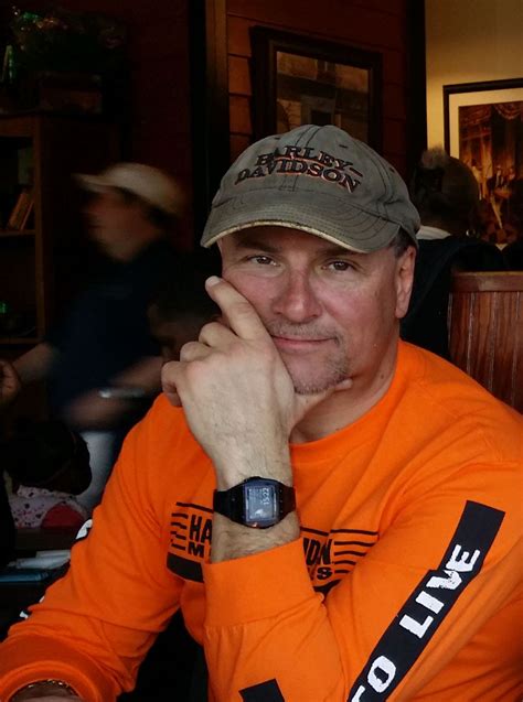 Appaloosa Simply Crowd