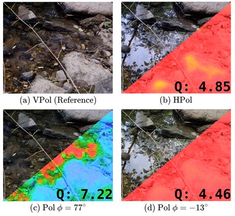 Sensitivity To Polarized Incident Light Imaging Through A Vertical