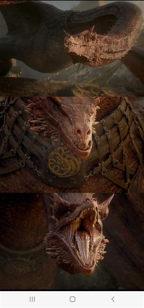 127 Best Caraxes Images On Pholder House Of The Dragon Freefolk And Bearded Dragons