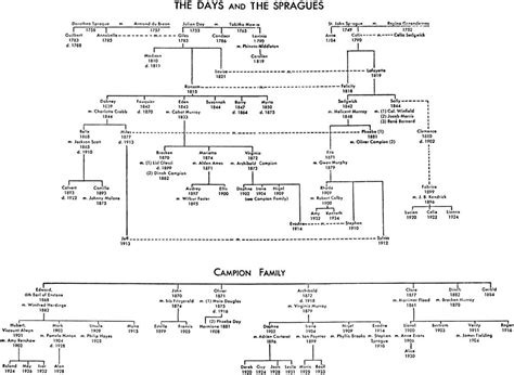 Read Homing By Elswyth Thane Online Free Full Book China Edition