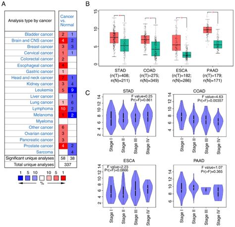Expression Profiles Of Serpina1 In Different Cancer Types A Summary Download Scientific