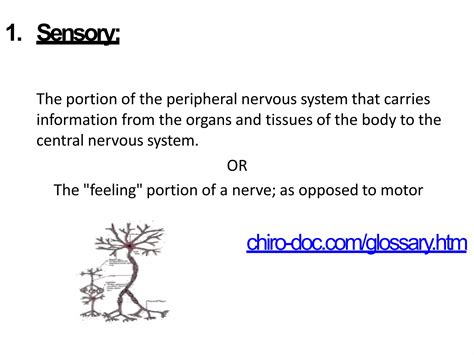 Cognitive Perception Pattern Ppt