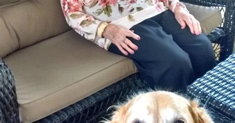 Centenarian Plus Five Anna Tricarico To Celebrate 105th Birthday