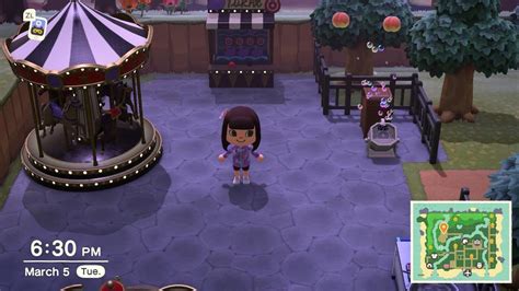Amusement Park Racnh