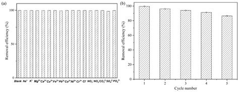 Amino Functionalized Silicaresorcinolformaldehyde Nanocomposites For