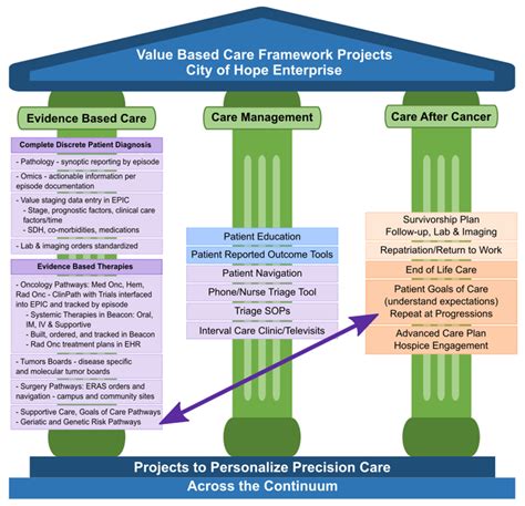 Value Based Care Framework Projects For City Of Hope Enterprise Green