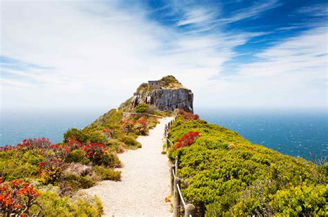 Cape Town And Safari Experience Vacation Package And Tour