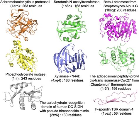 Figure 1 From Configurational Entropy Of Folded Proteins And Its