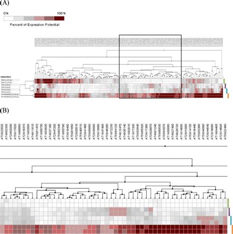 Hierarchical Clustering Using Euclidian Distance Measure For A List