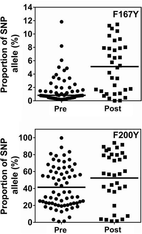 Calculated Proportion Of Mutant Mt Single Nucleotide Polymorphism