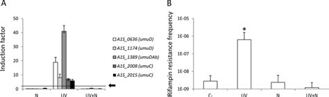 A Expression Of Genes Encoding Components Of Error Prone Dna
