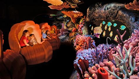 Quiz How Well Do You Know The Seas With Nemo And Friends At Epcot
