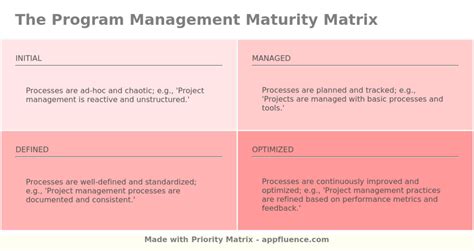 Program Management Maturity Matrix Free Download