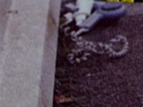 Chilling Jodi Huisentruit Crime Scene Pics Of Missing Anchors
