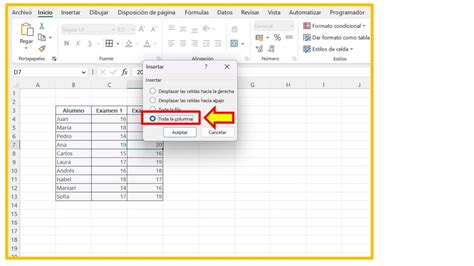 Manejo De Filas Columnas Celdas Y Rangos En Excel