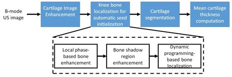 Flowchart Of Proposed Cartilage Segmentation And Thickness Measurement