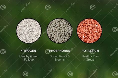 NPK Letters Made of Mineral Fertilisers on the Blurred Natural Background. Stock Image - Image ...