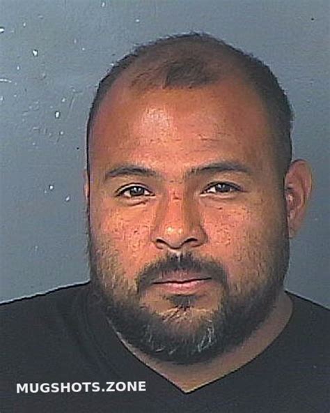 Gomez Edgar Valdez 01 10 2023 Hernando County Mugshots Zone
