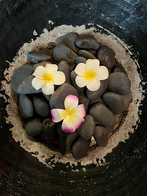 7 Happy Dad Hacks Make Your Happy Dad Medium