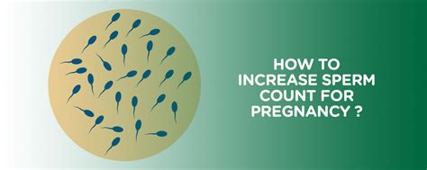 How To Increase Sperm Count And Make It Stronger For Pregnancy