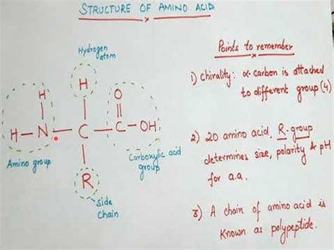 Easy Way To Draw General Structure Of Amino Acid Youtube