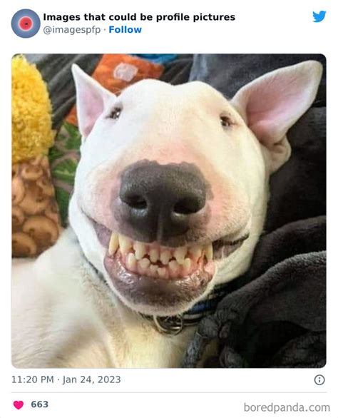 30 Of The Weirdest And Funniest Pics Shared On The “images That Could