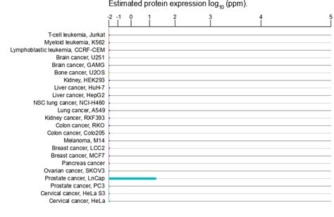 Batf Gene Genecards Batf Protein Batf Antibody