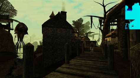 Strange Blue Effect On Screen R Morrowind