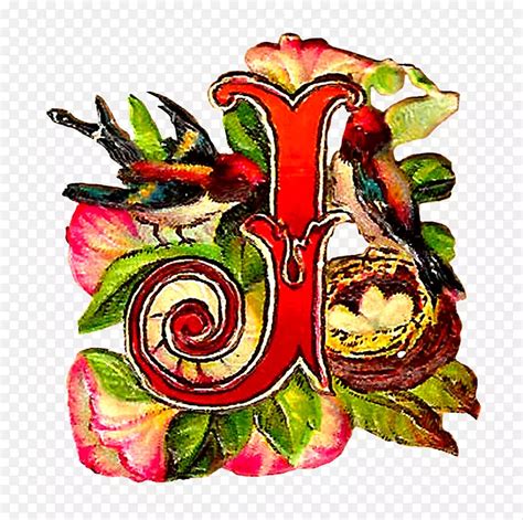 鸟巢字母艺术字 粉红色鸟png图片素材下载图片编号946276 Png素材网