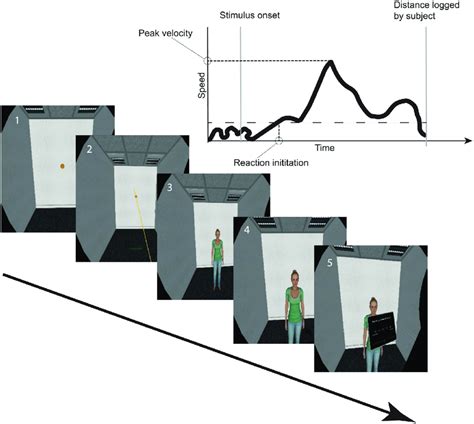 Sample Trial From The Aat Experiment Bottom Screenshots Of One