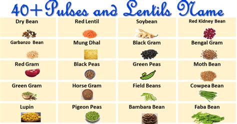 100 Vegetables Names In English With Pictures Vocabularyan