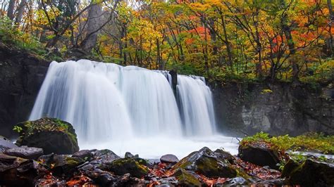 Oirase Stream Towada Travel