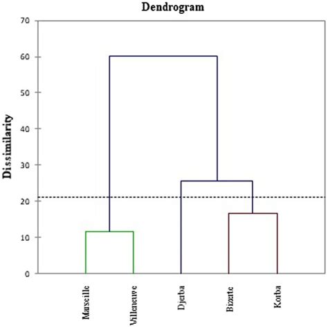 Two‐dimensional Dendrogram Obtained By The Cluster Analysis Of The