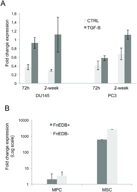 Fibronectin Ed B Mrna Expression In Du145 And Pc3 Cell Lines After 72h Download Scientific
