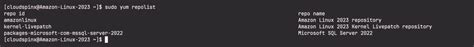 Install Microsoft Sql Server 2022 On Amazon Linux 2023 Cloudspinx