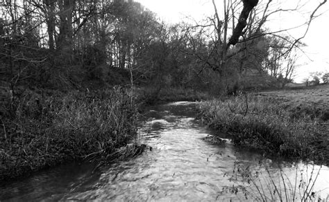 Martin Eccles No 2 ‘no Trace Steklenik