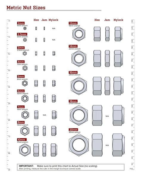 M12 Nylon Lock Nut Torque Chart Metric Nylon Lock Nuts Buy Nylon Insert Lock Nut Torque Chart