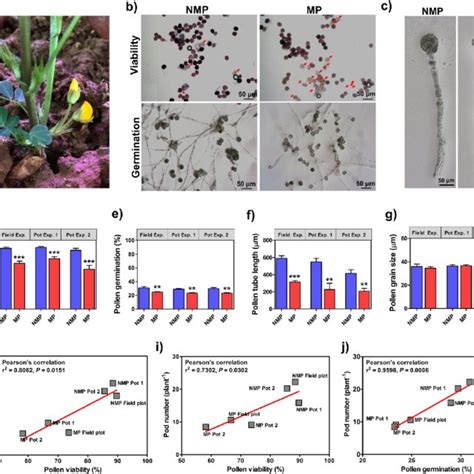 Long Term Monocropping Does Not Alter The Fungal Community In Flower