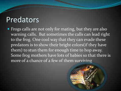 Ppt Frogs Predators And Prey Powerpoint Presentation Free Download