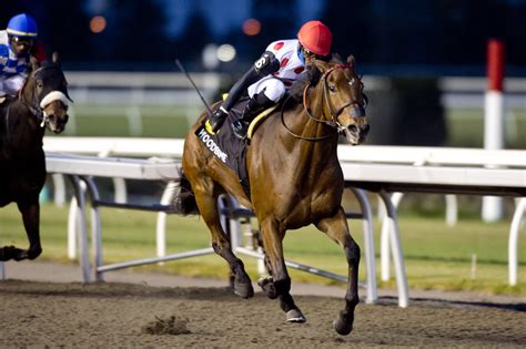 Thumbs Up To Our Flash Drive In Grade 2 Bessarabian Woodbine Racetrack