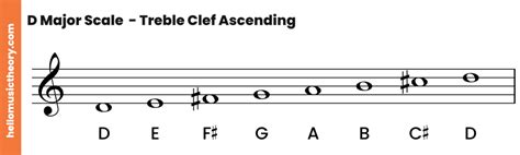 D Major Scale A Complete Guide