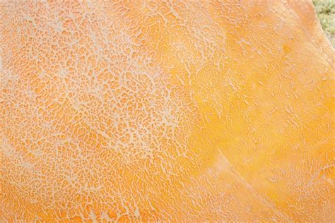 Premium Photo Orange Pumpkin Skin Macro Abstract Halloween Texture