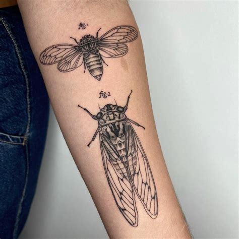 Cicada Tattoo Symbolism Designs And Placement Tips
