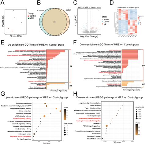 Mrna‐seq And Deg Analyses Of Synovium 7 Days Postoperation A Pca Of