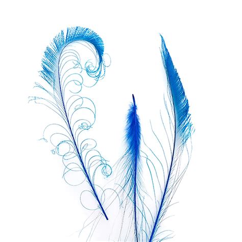 Peacock Swords Stem Dyed Dark Turquoise Feather Buy Craft Feathers