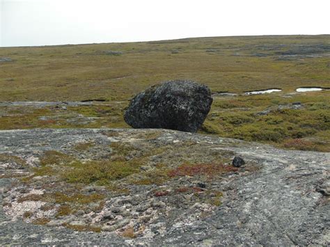 La Baie Dungava Nature Québec